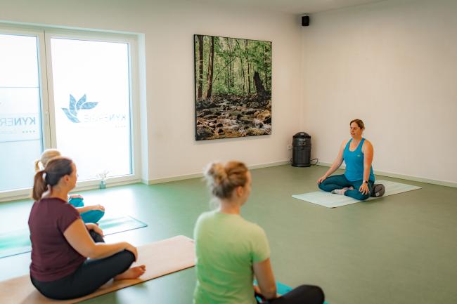 Workshops / Lezingen | Kynergie